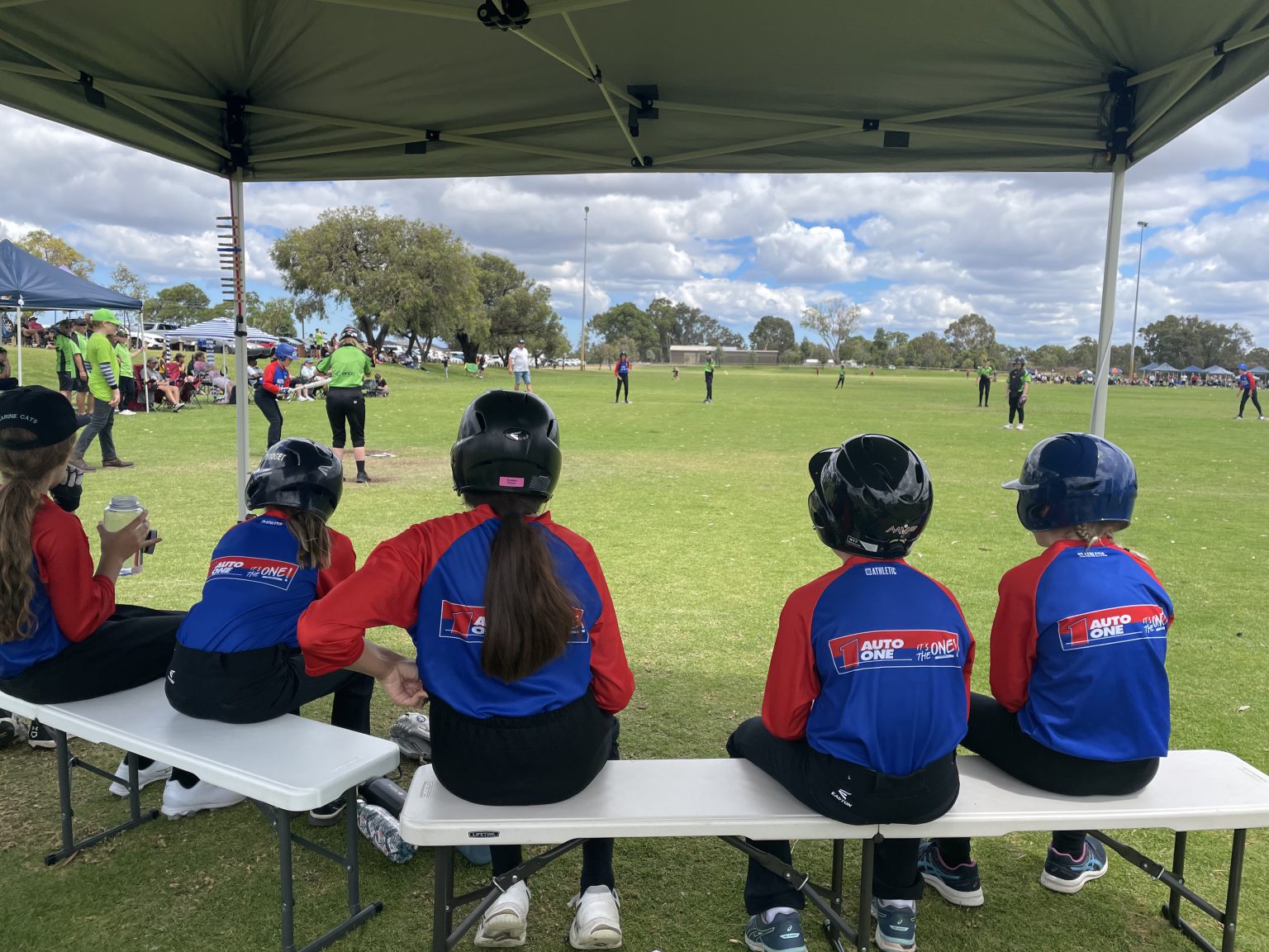 Tee-Ball Managers | Carine Cats – Carine Cats Teeball
