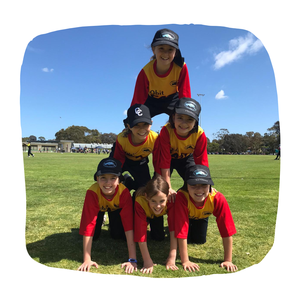 Register for Teeball | Carine Cats – Carine Cats Teeball