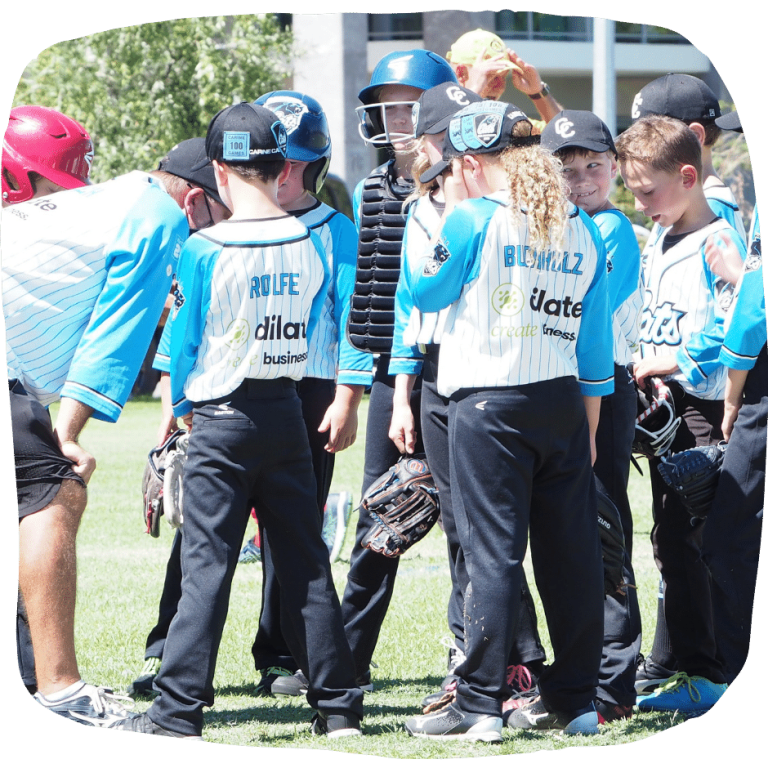 What is Teeball | Carine Cats – Carine Cats Teeball