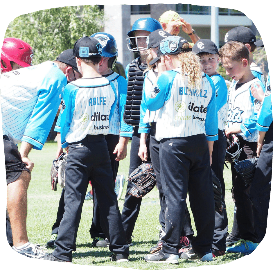 What is Teeball | Carine Cats – Carine Cats Teeball